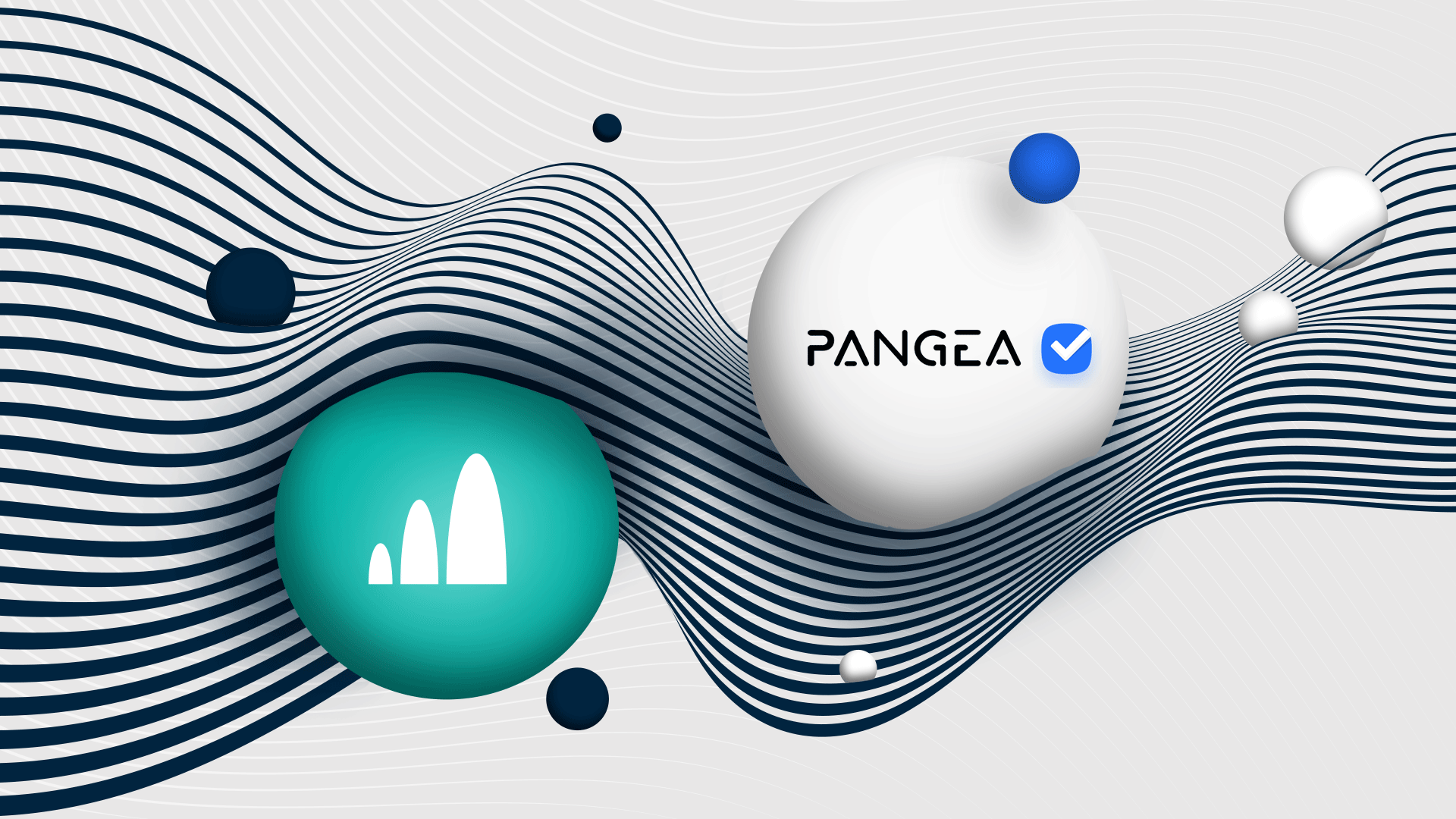 Amplitudo is now a verified member of the Pangea community | Amplitudo